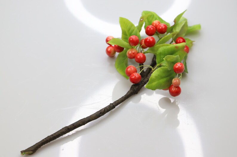 Realistic Cherry Branch Handmade From Cold Porcelain Clay Lifelike ...