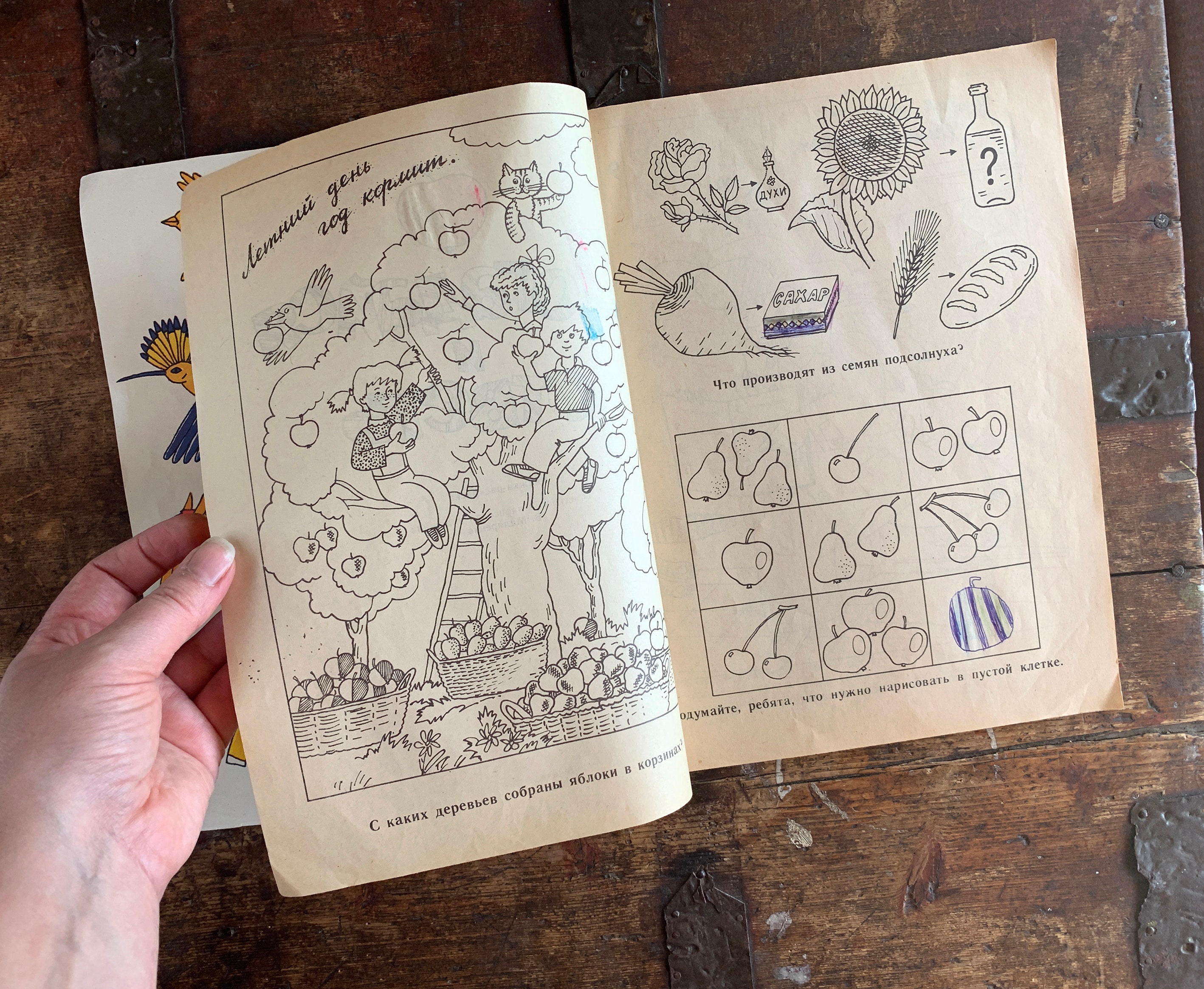 Coloring Book Vintage Activity Book - Etsy