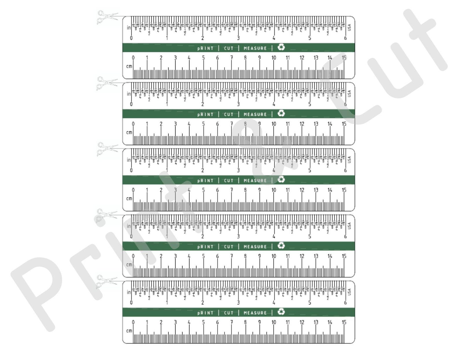 Disposable Print, Cut, Measure, Recycle 6 Ruler science Class technical ...