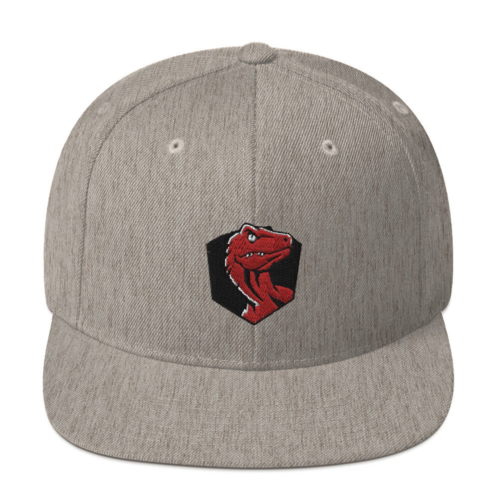 Redesigned Toronto Raptors Logo Snapback Hat | Etsy