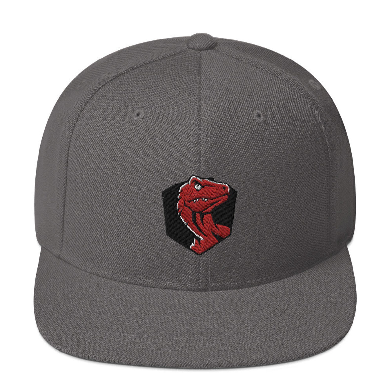 Redesigned Toronto Raptors Logo Snapback Hat | Etsy