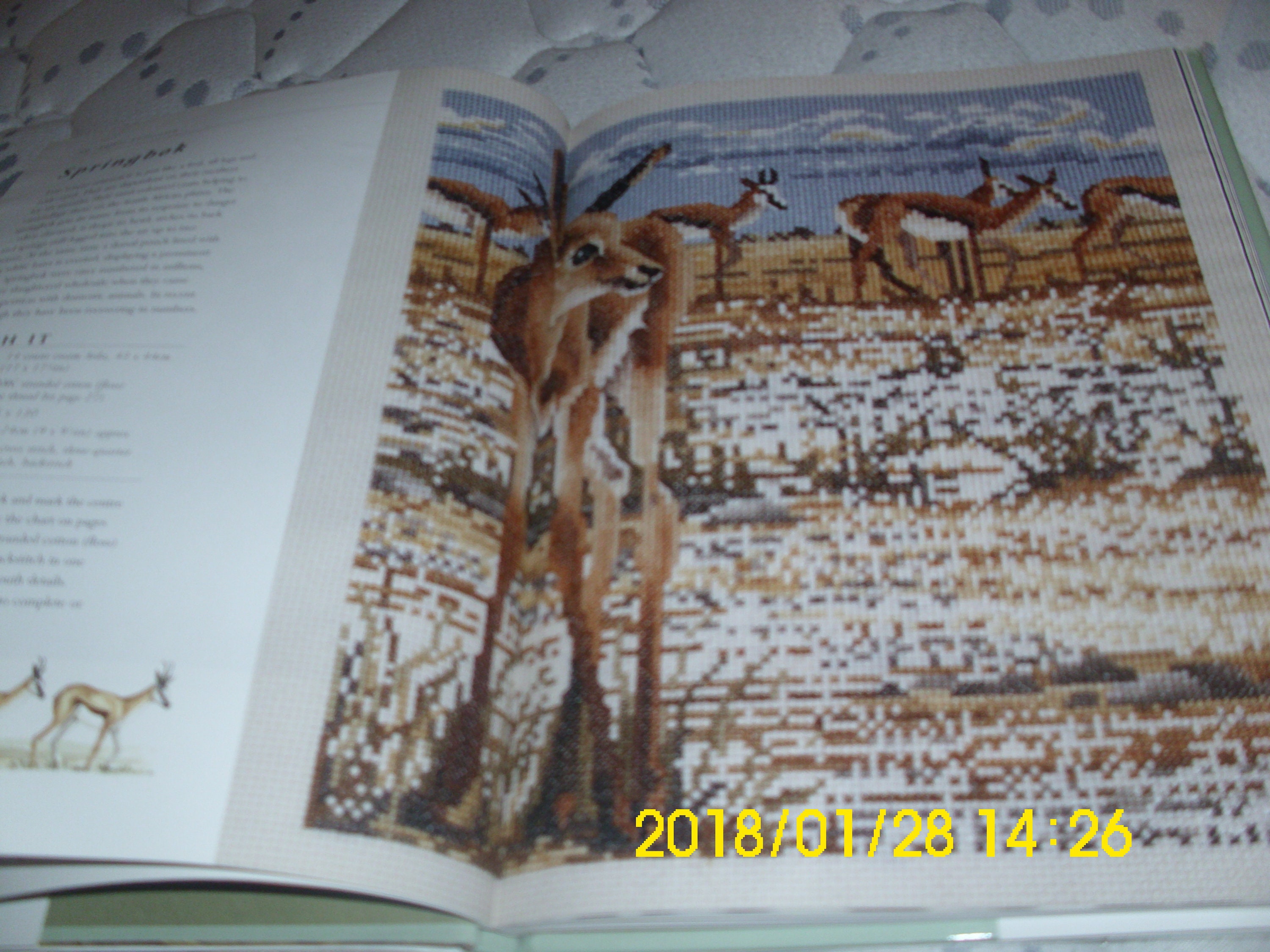 Cross Stitch Animal Collection Book Jayne Netley Mayhew Safari | Etsy