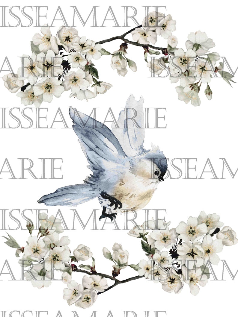 Printable Image Transfer Vintage Bird Delicate Elegant Furniture - Etsy