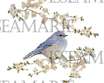 Printable Image Transfer Vintage Bird Delicate Elegant | Etsy