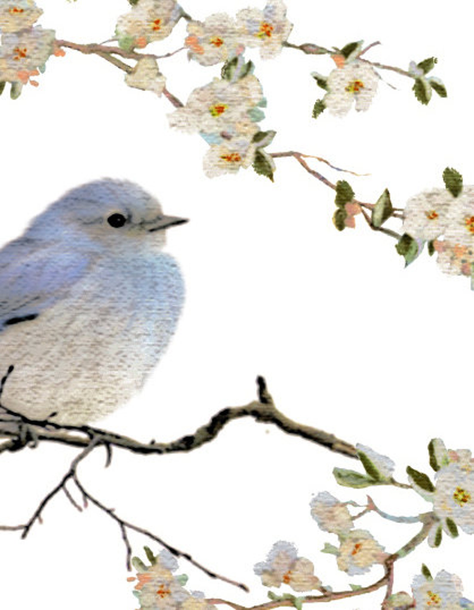 Printable Image Transfer Vintage Bird Delicate Elegant - Etsy Canada