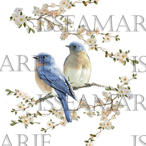 Printable Image Transfer Vintage Bird Delicate Elegant - Etsy
