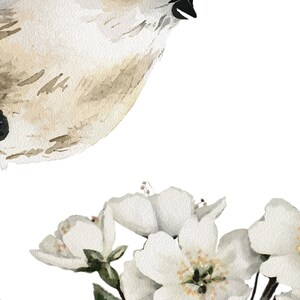 Printable Image Transfer Vintage Bird Delicate Elegant Furniture - Etsy