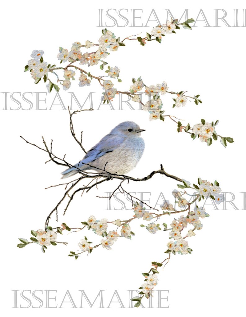 Printable Image Transfer Vintage Bird Delicate Elegant Furniture - Etsy