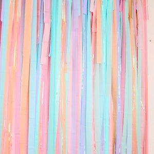 Streamer Backdrop, Fringe Backdrop, Pastel Party Decor, Pastel Rainbow ...