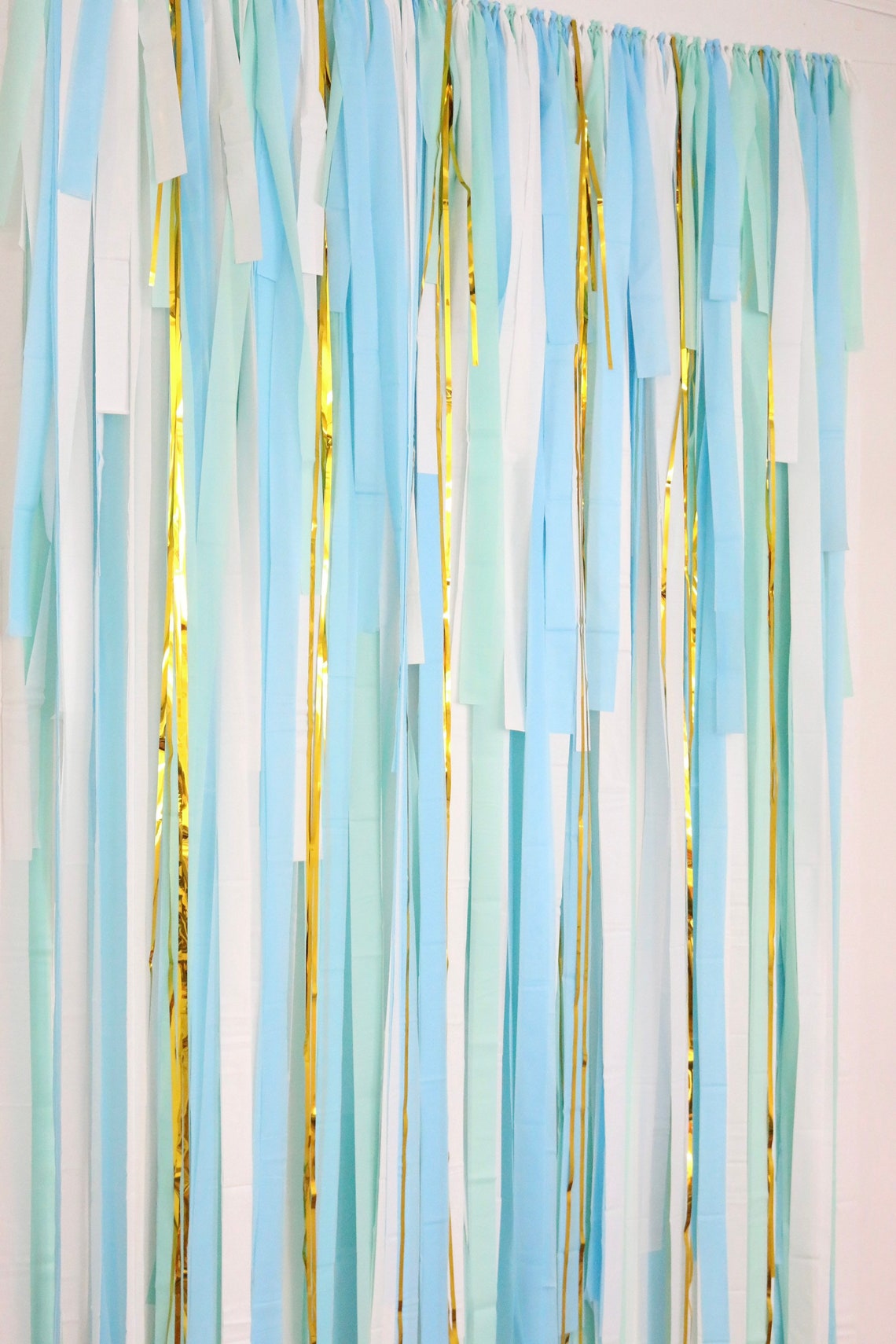 Streamer Backdrop Fringe Backdrop Blue and Mint Birthday - Etsy