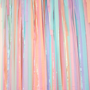 Streamer Backdrop, Fringe Backdrop, Pastel Party Decor, Pastel Rainbow ...