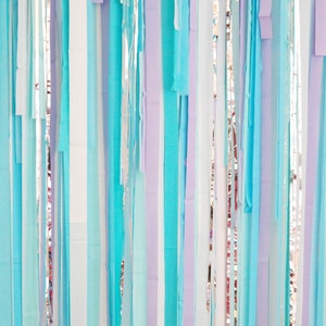 Streamer Backdrop, Fringe Backdrop, Winter Wonderland Party, Frozen ...