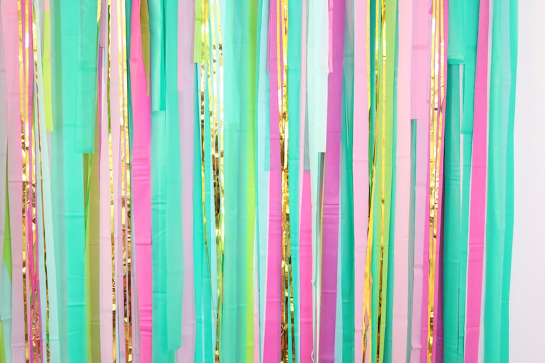 Streamer Backdrop Fringe Backdrop Pink and Green Party - Etsy