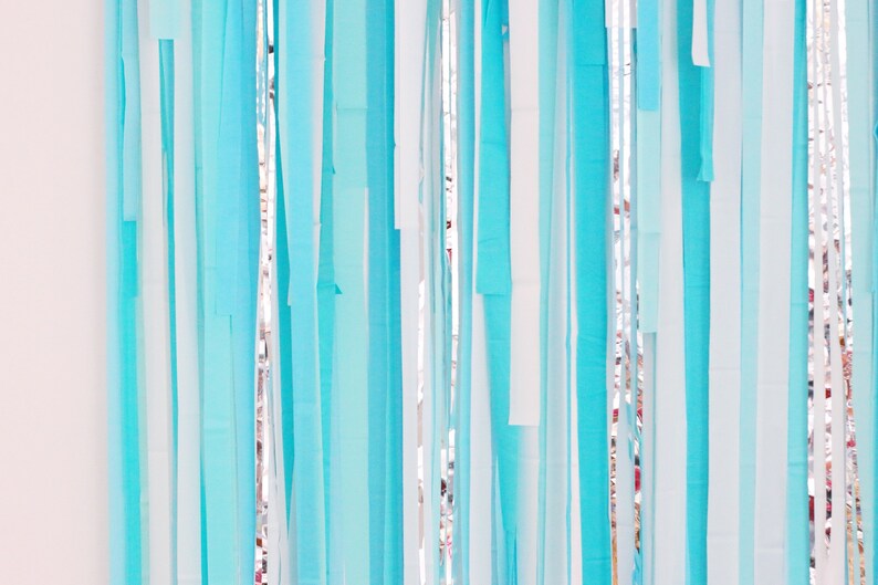 Streamer Backdrop Fringe Backdrop Blue Birthday Decorations - Etsy