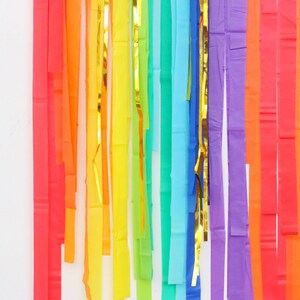 Streamer Backdrop, Fringe Backdrop, Rainbow Backdrop,rainbow Party ...