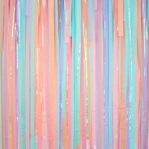 Streamer Backdrop, Fringe Backdrop, Pastel Party Decor, Pastel Rainbow ...