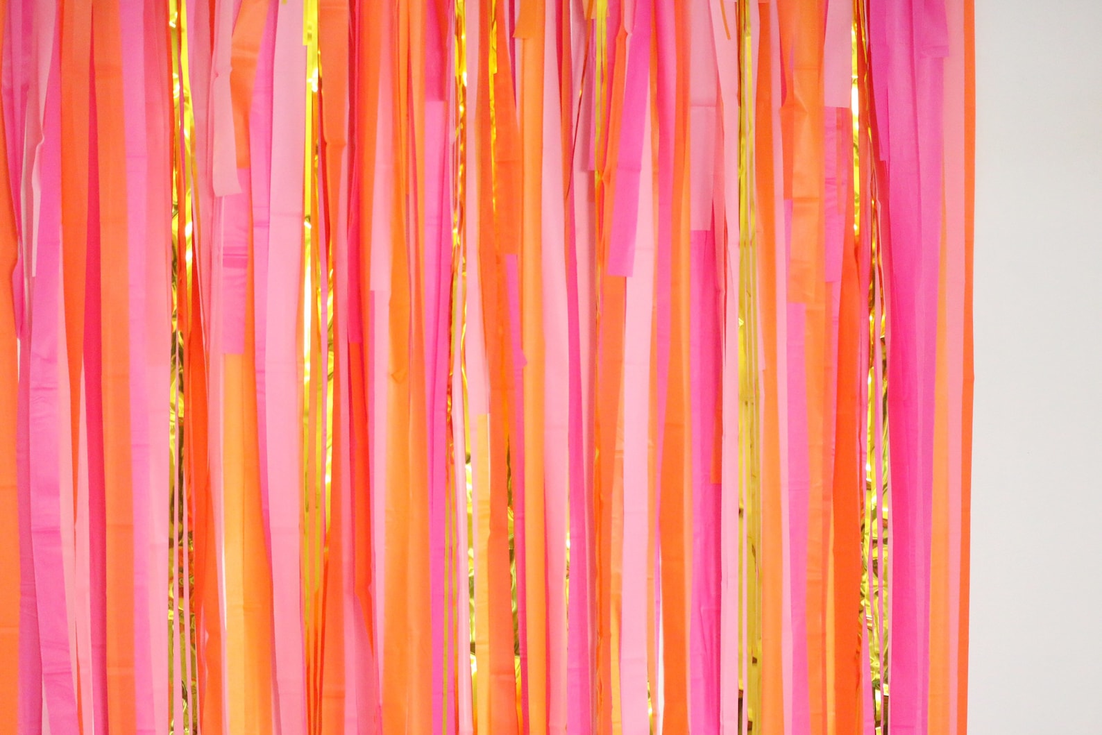 Streamer Backdrop, Fringe Backdrop, Color Birthday Party Decorations ...