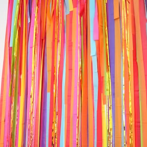 Streamer Backdrop, Fringe Backdrop, Fiesta Backdrop, First Fiesta ...