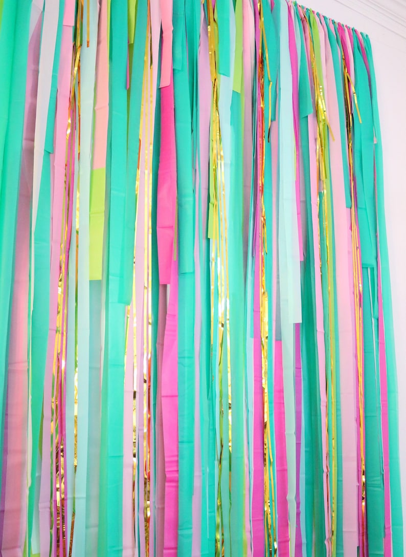 Streamer Backdrop Fringe Backdrop Pink and Green Party - Etsy