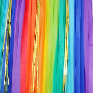 Streamer Backdrop, Fringe Backdrop, Rainbow Backdrop,rainbow Party ...