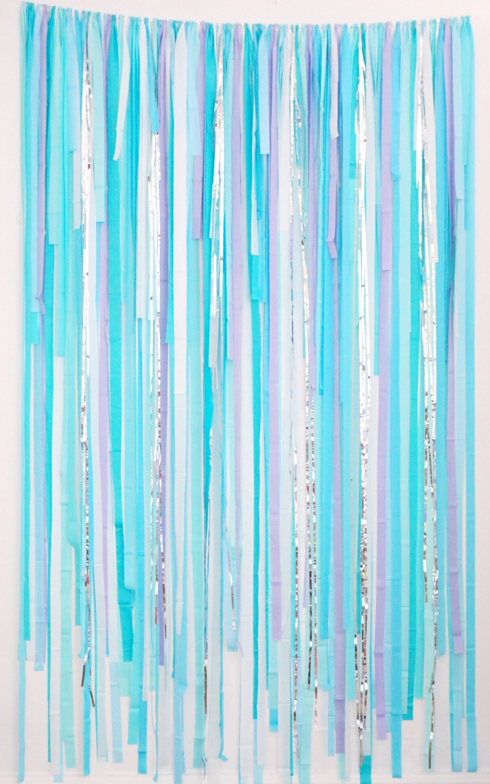 Streamer Backdrop, Fringe Backdrop, Winter Wonderland Party, Frozen ...
