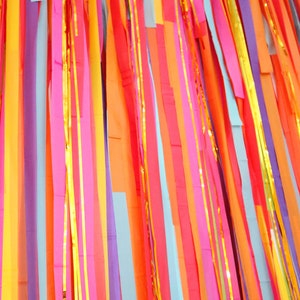 Streamer Backdrop, Fringe Backdrop, Fiesta Backdrop, First Fiesta ...