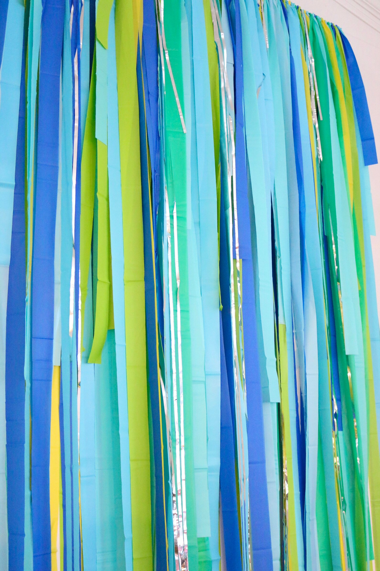Streamer Backdrop, Fringe Backdrop, Blue and Green Party, Birthday ...