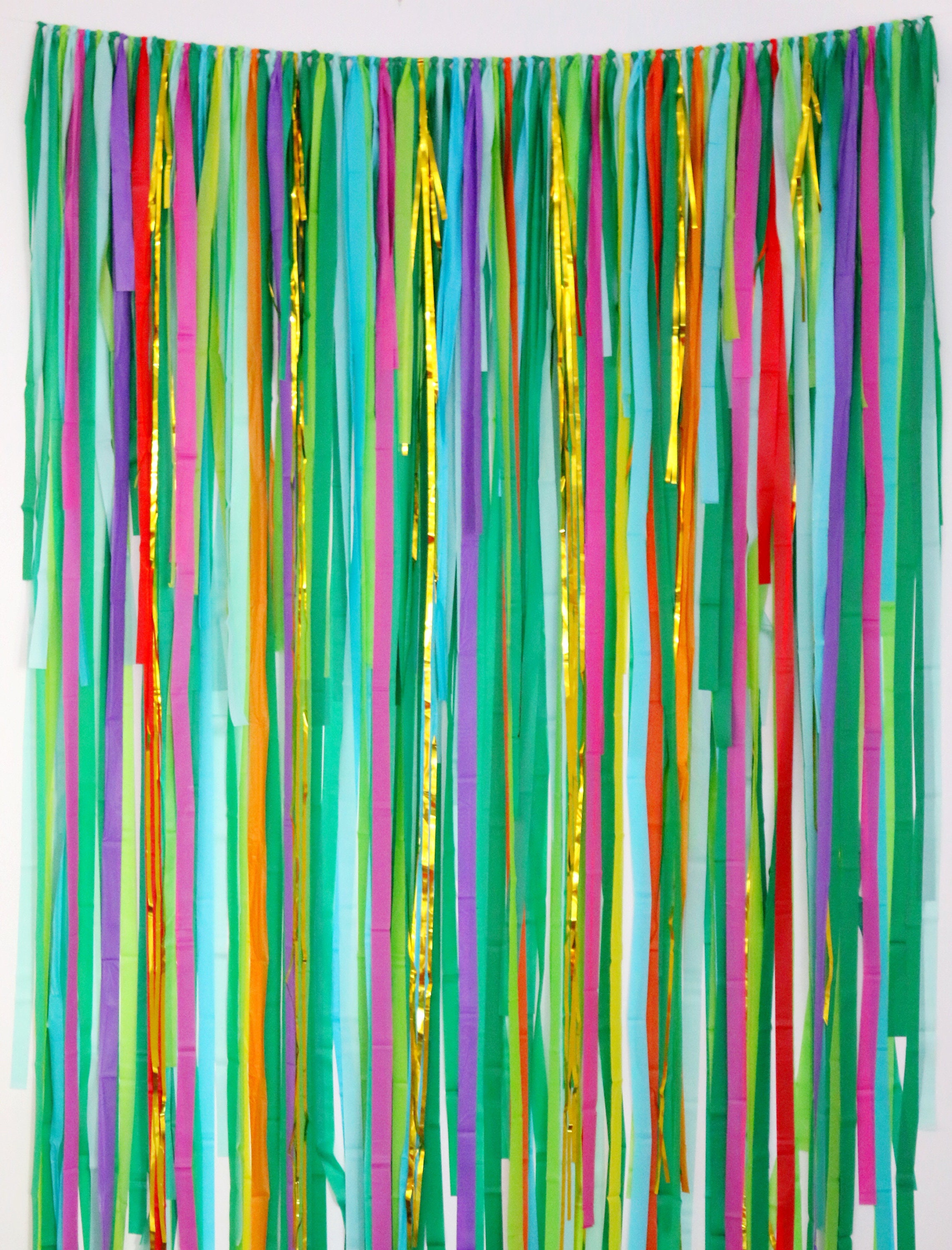Streamer Backdrop Fringe Backdrop Tropical Party | Etsy