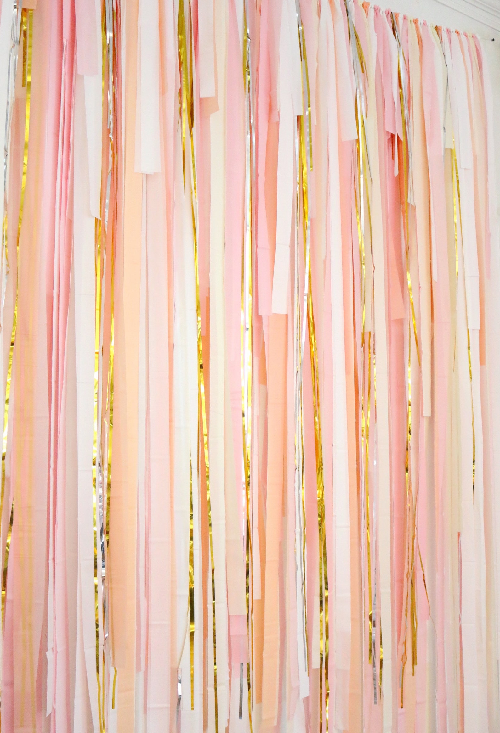 Streamer Backdrop Fringe Backdrop Photo Booth Birthday - Etsy