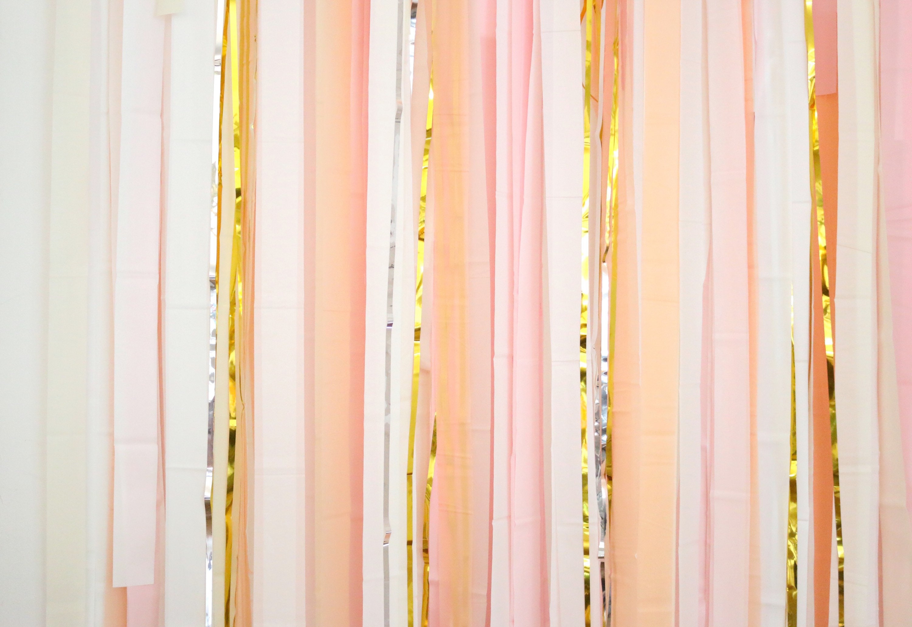 Streamer Backdrop Fringe Backdrop Photo Booth Birthday - Etsy
