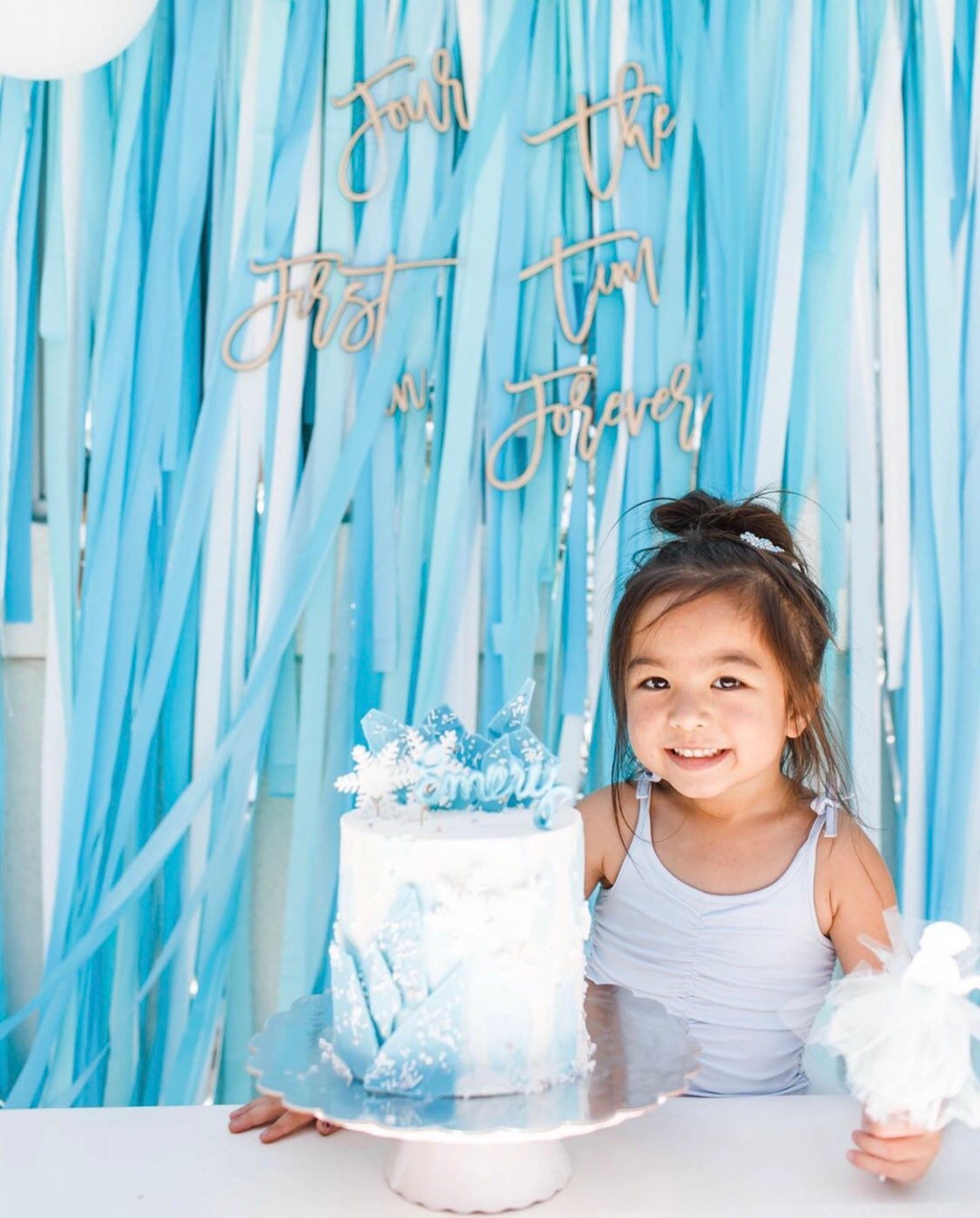 Streamer Backdrop Fringe Backdrop Frozen Birthday Party | Etsy