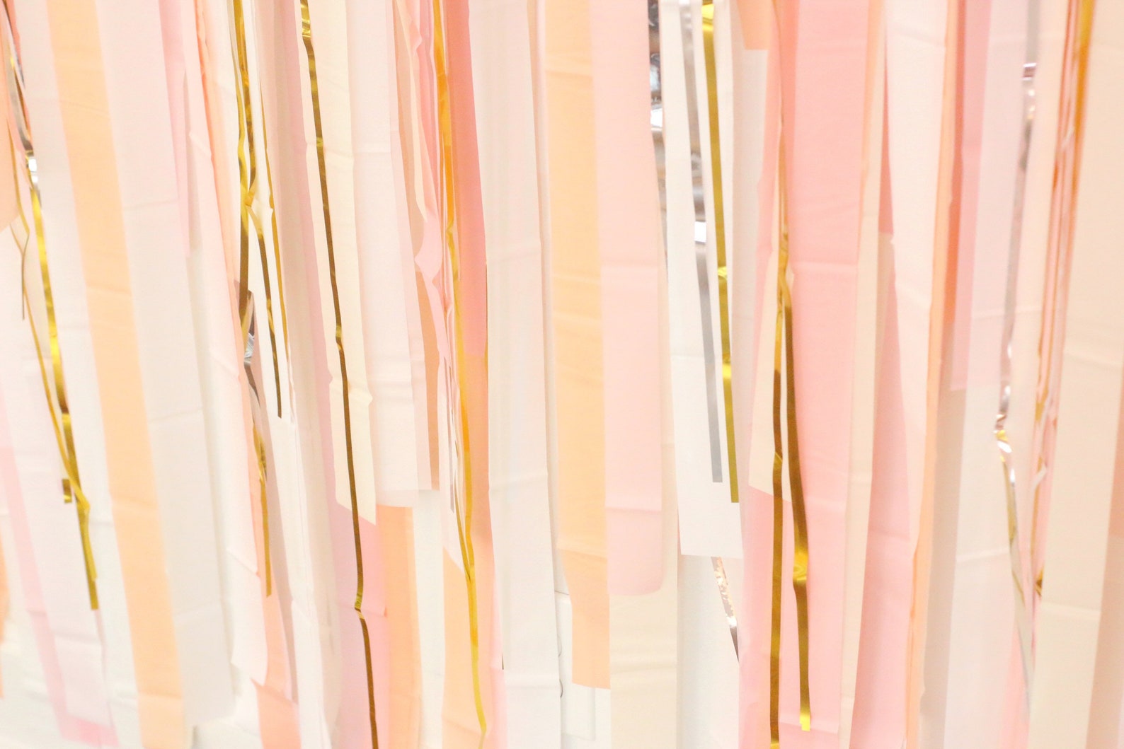 Streamer Backdrop Fringe Backdrop Photo Booth Birthday - Etsy