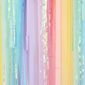 Streamer Backdrop, Fringe Backdrop, Pastel Party Decor, Pastel Rainbow ...