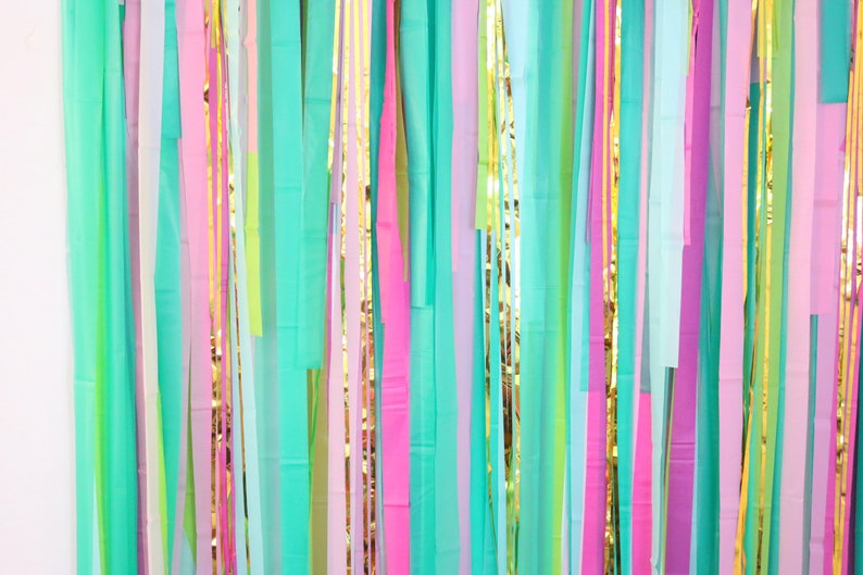 Streamer Backdrop Fringe Backdrop Pink and Green Party - Etsy
