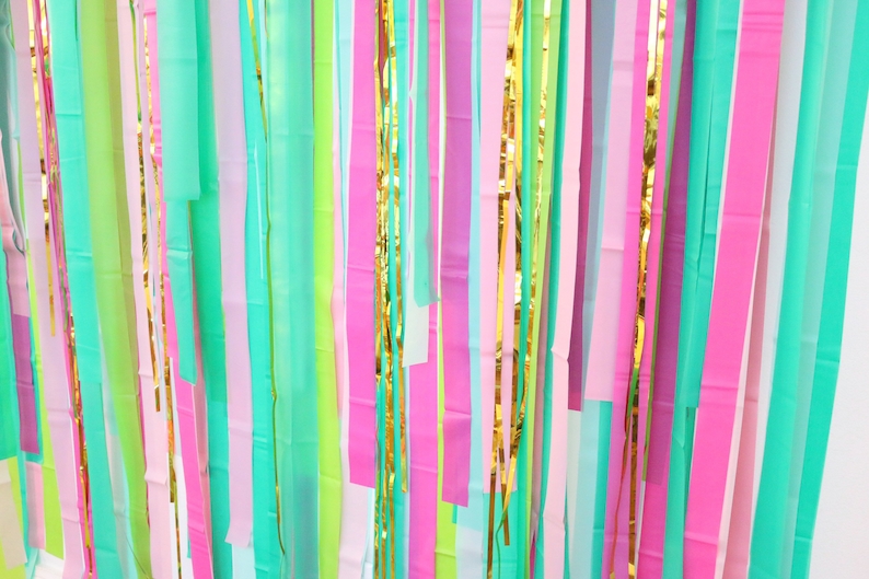 Streamer Backdrop Fringe Backdrop Pink and Green Party - Etsy