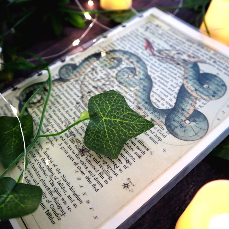 Laminated Random Book Pages - Discbound Cover - Etsy