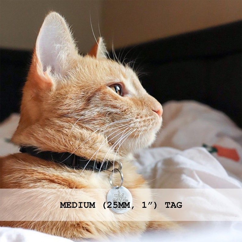 Name Tag With Toast Stainless Steel Dog Tag Pet Tag Address - Etsy