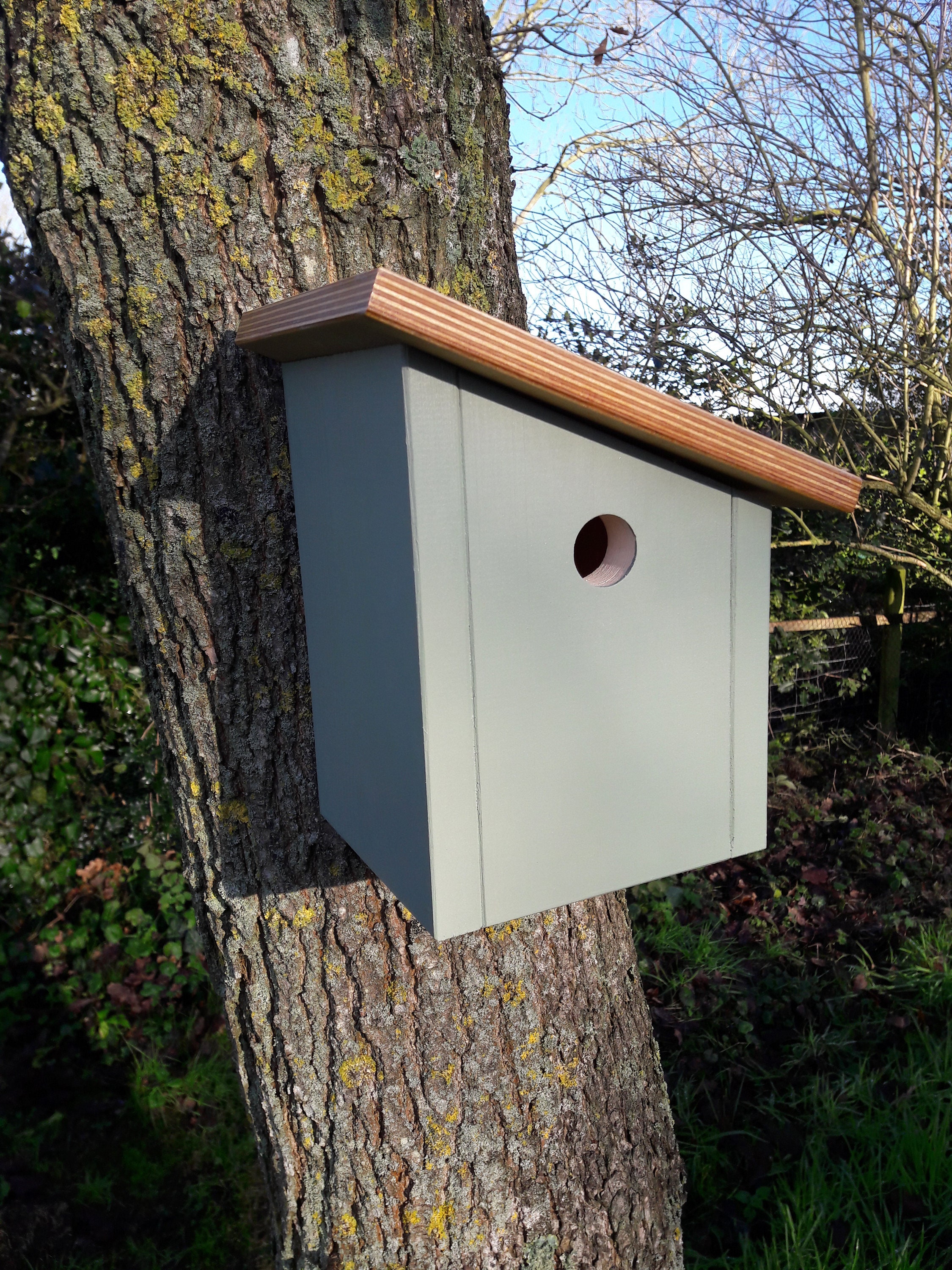 Bird Box Scandi Style - Etsy
