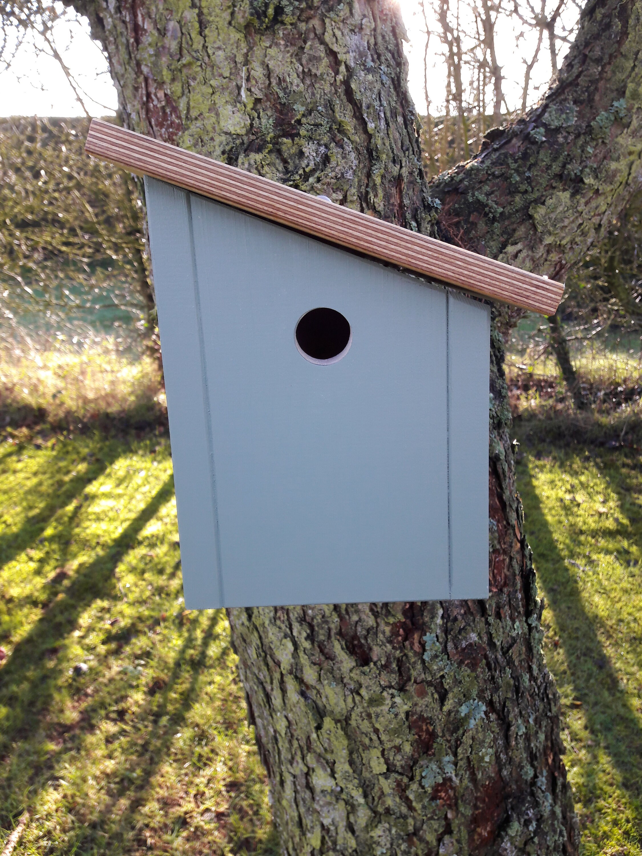 Bird Box Scandi Style - Etsy