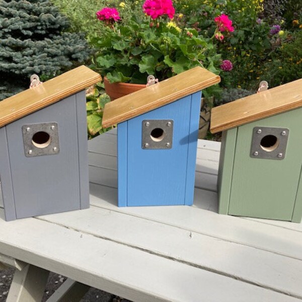 Bird Box - Etsy UK
