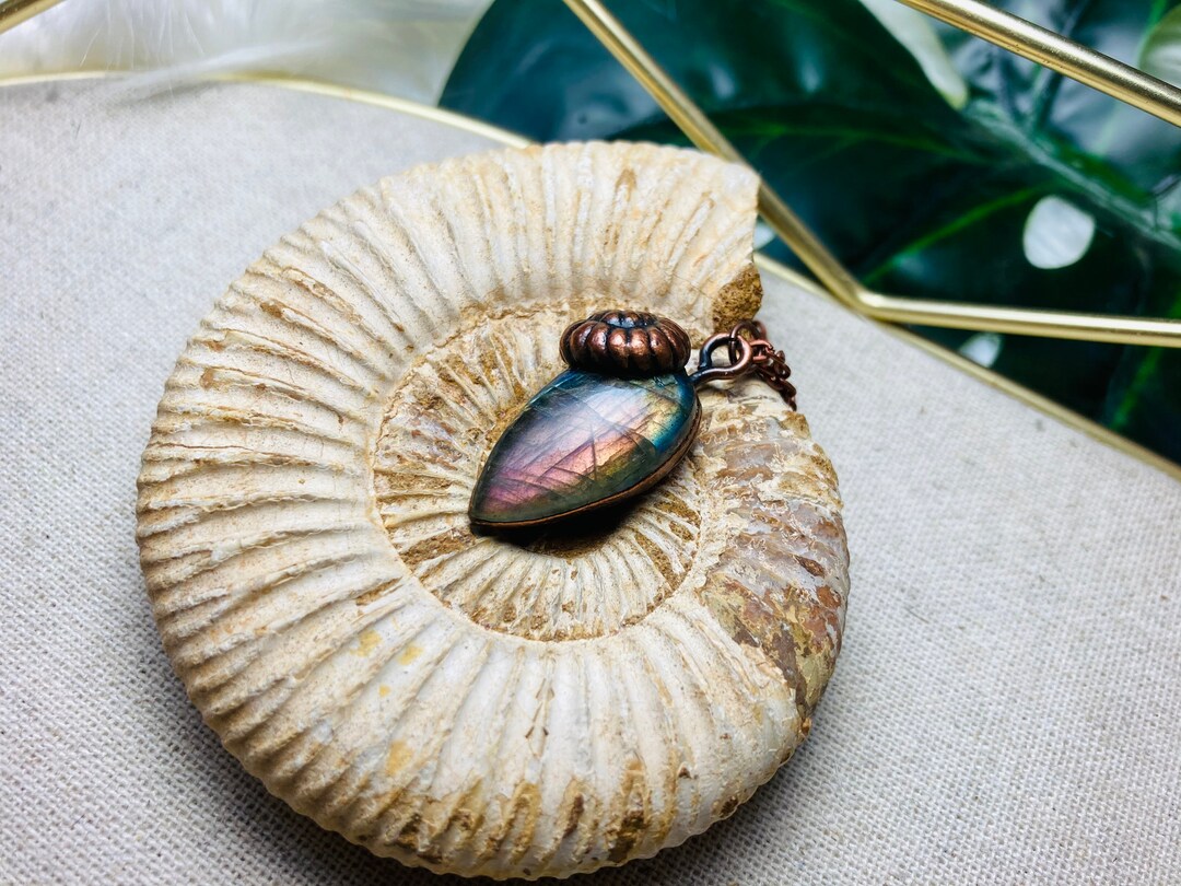 Pink Rainbow Fossil Ammonite Electroformed Labradorite Pendant - Etsy