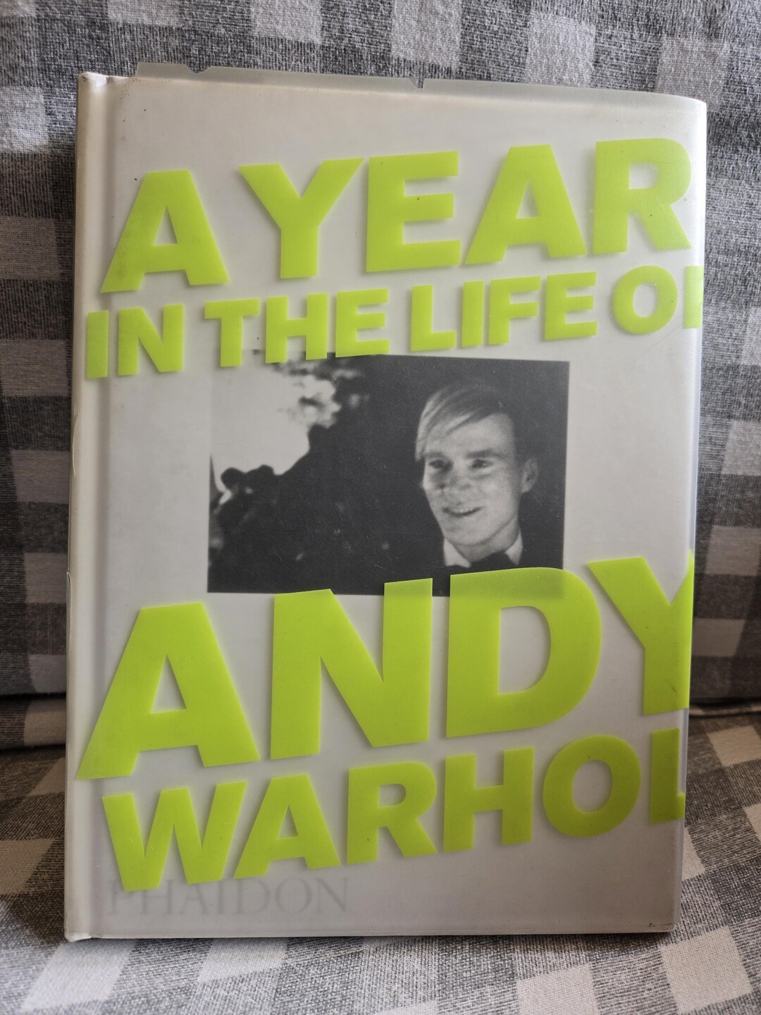 Fab A Year in the Life of Andy Warhol David Dalton Photos by David Mc ...