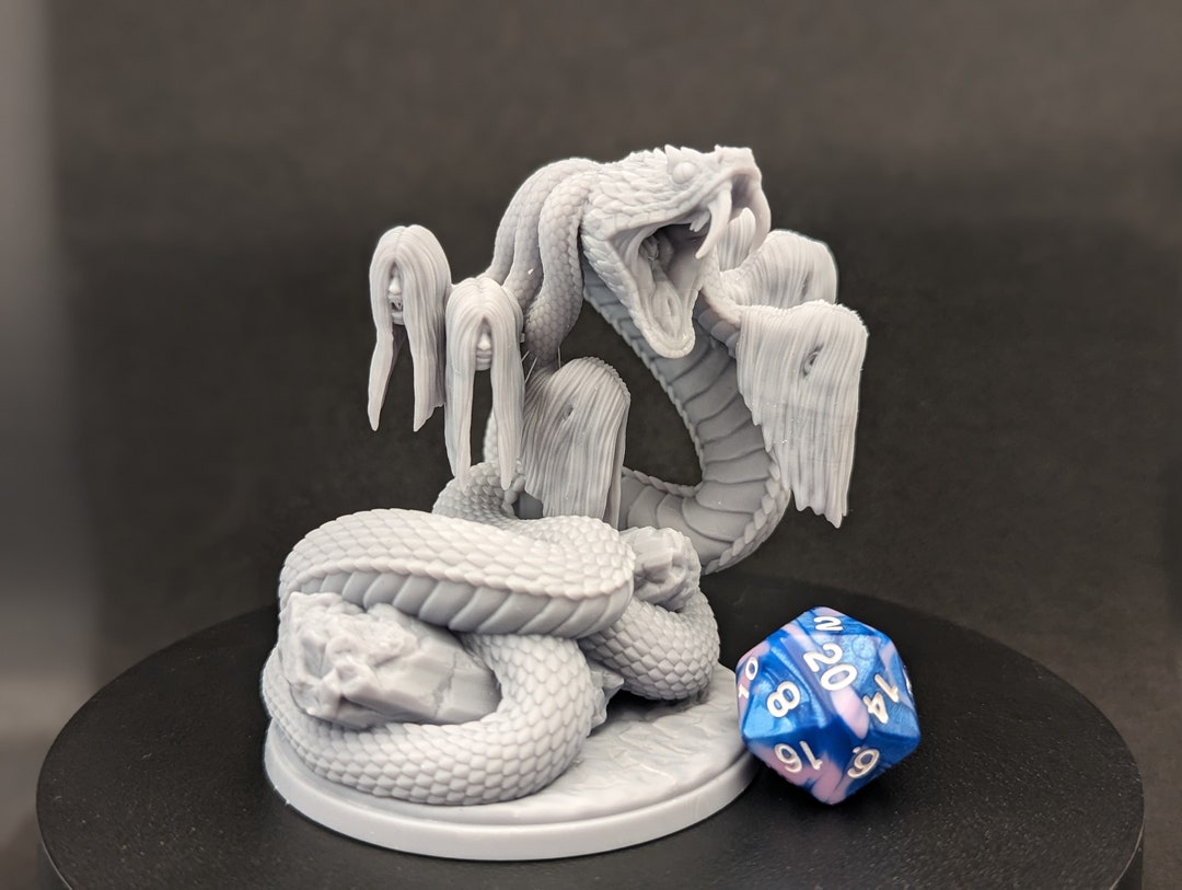 Reverse Medusa - Etsy