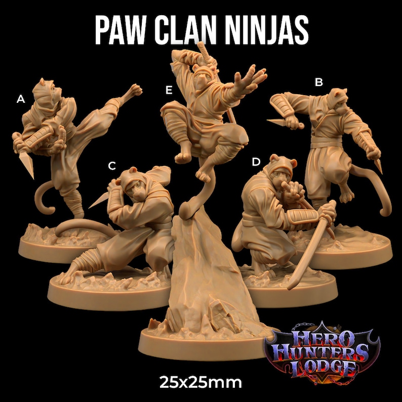 Tabaxi Ninja- Paw Clan - Etsy