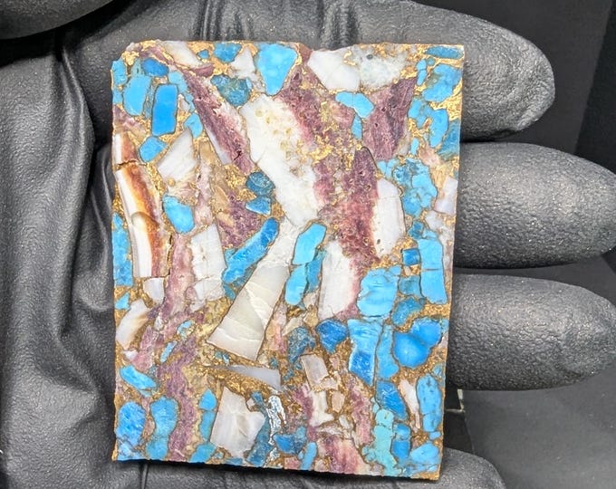 Kingman Turquoise With Bronze and Spiny Oyster Slab or Stone for Making ...