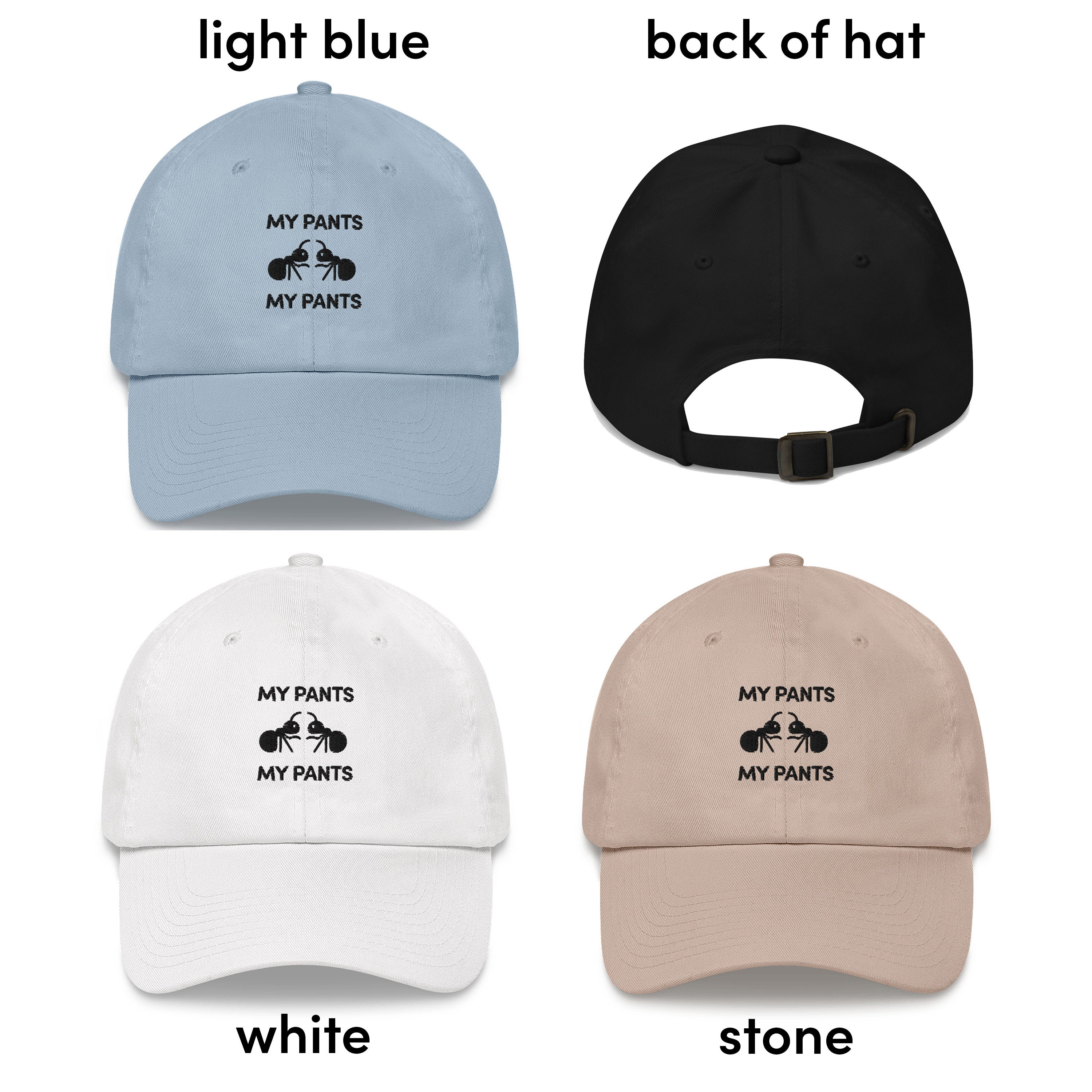 Ants in My Pants Rebus Puzzle Embroidered Dad Hat | Riddle Hat | Silly ...