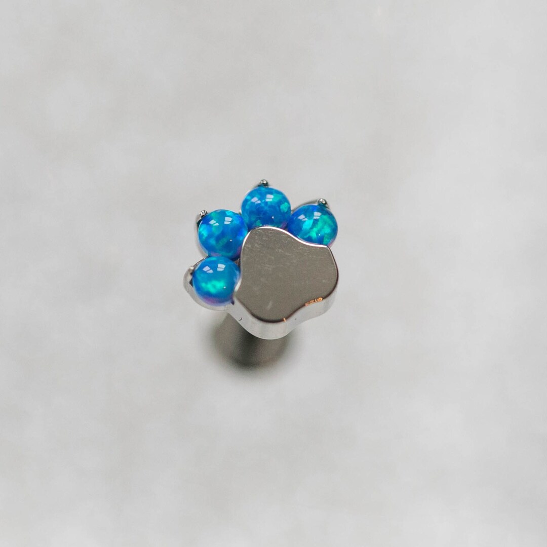 Cat Paw Blue Opal Tragus Piercing, Animal Lover, Helix Stud, Conch ...