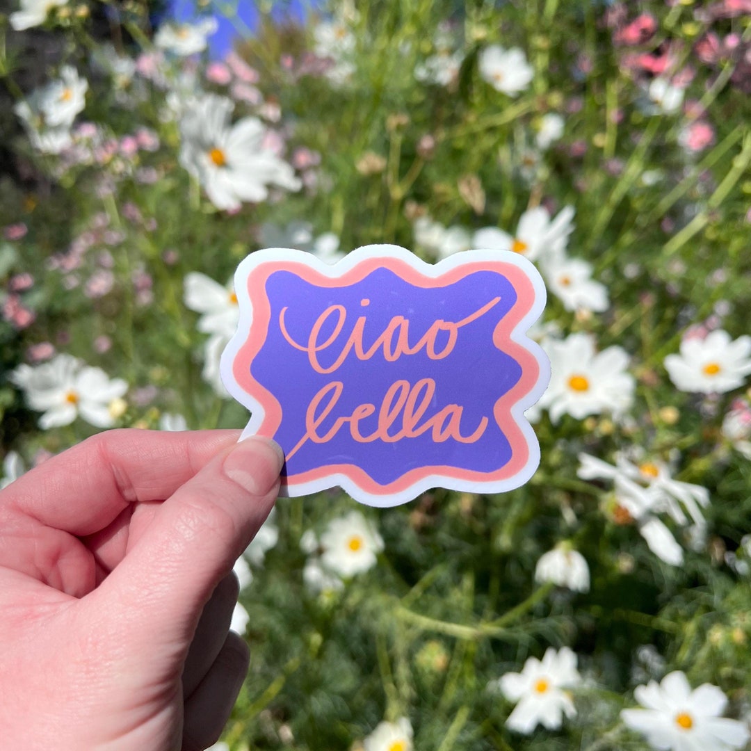 Sticker: "ciao Bella" ~ Hi Beautiful in Italian ~ Soft Pink & Blue W ...