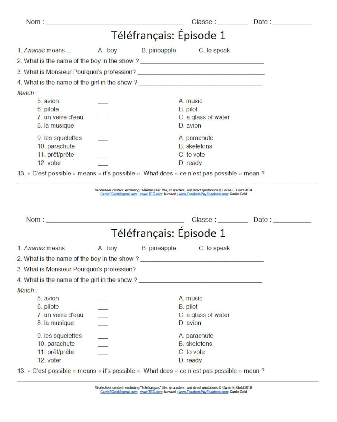 Worksheets for Téléfrançais Beginning French Video Series | Etsy