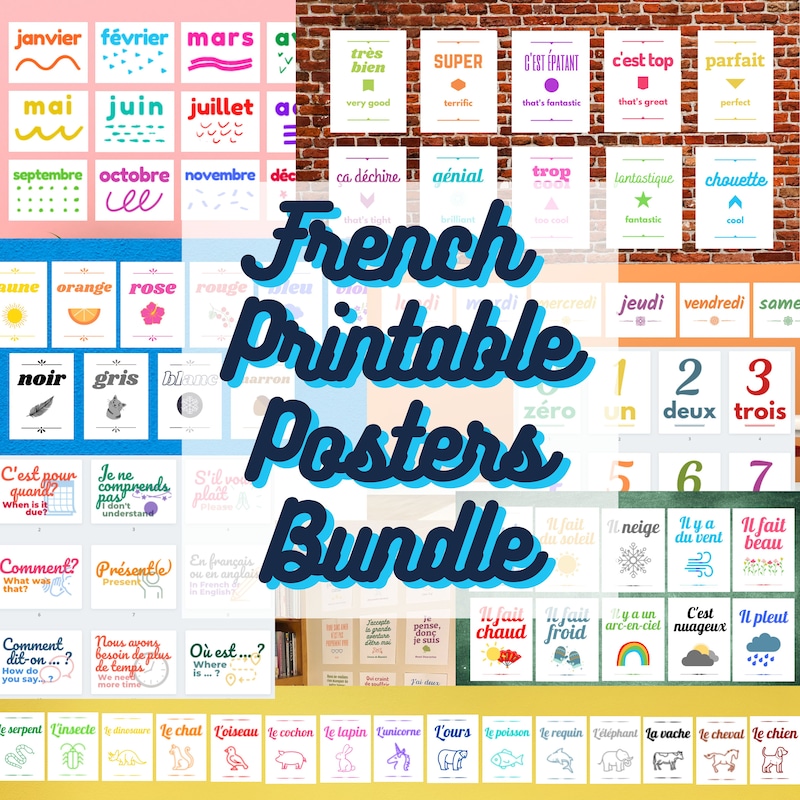 French Language Posters - Etsy